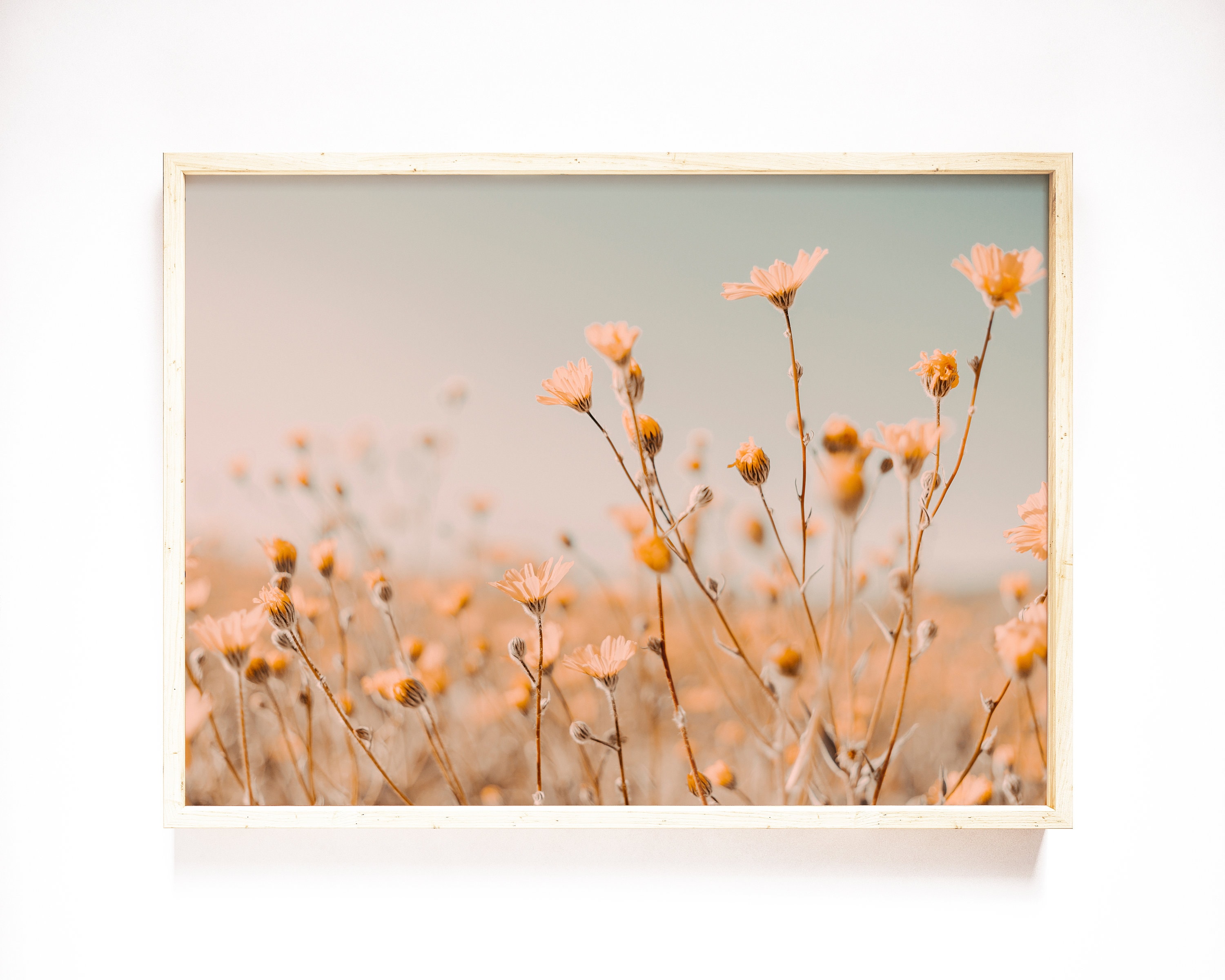 Desert Flower Photography, Wildflower Printable, Desert Print, Yellow ...