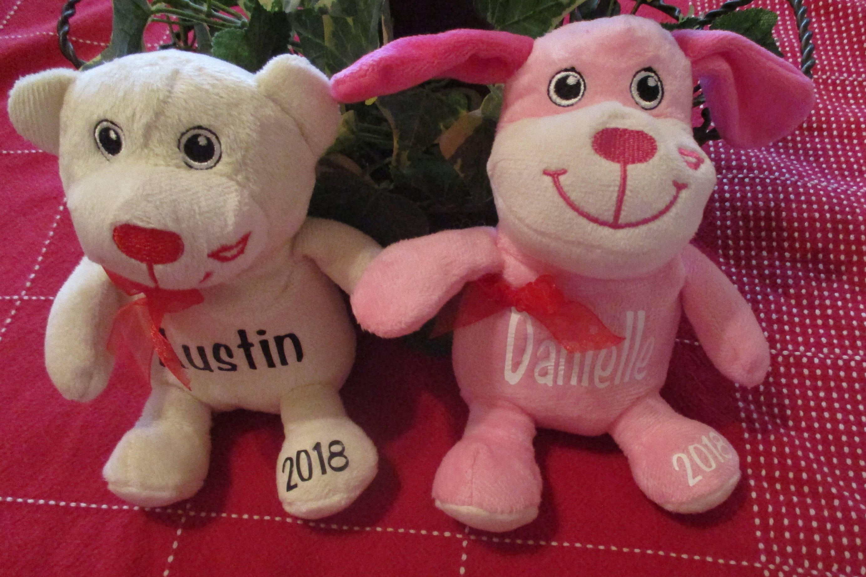 Valentine Plushie Personalized Valentines Day Gift - Etsy