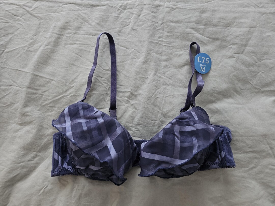 Vintage New/old Stock Bra From Japan (size 12A Aus & 34A UK/US, Japan ...