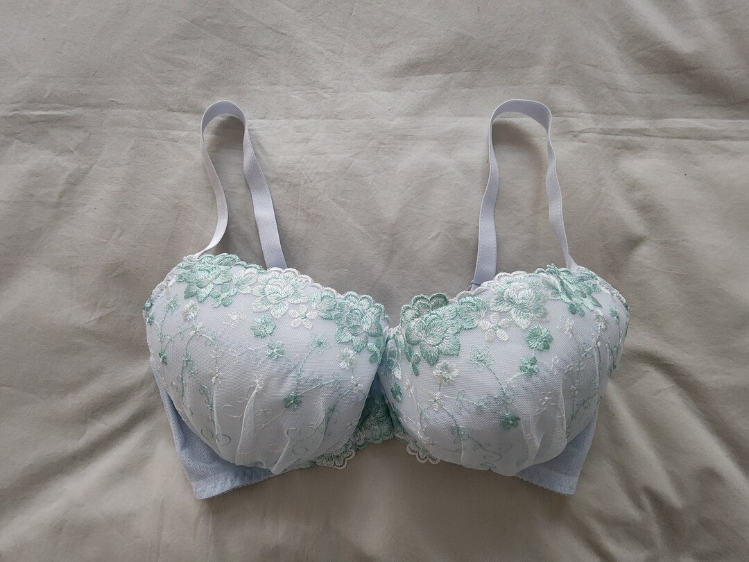 Vintage New Old Stock Bra From Japan (size 14E Aus & 36E UK/US, Japan ...