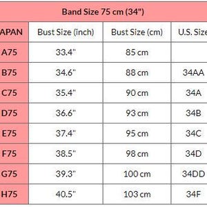 New/old Stock Bra From Japan (size 12B Aus & 34B US/UK, Japan D75) - Etsy