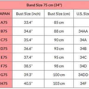 New Old Stock Bra From Japan (size 12B Aus & 34B UK/YS, Japan D75) - Etsy