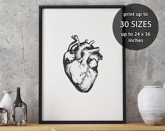 Black and White Anatomy Poster - Etsy