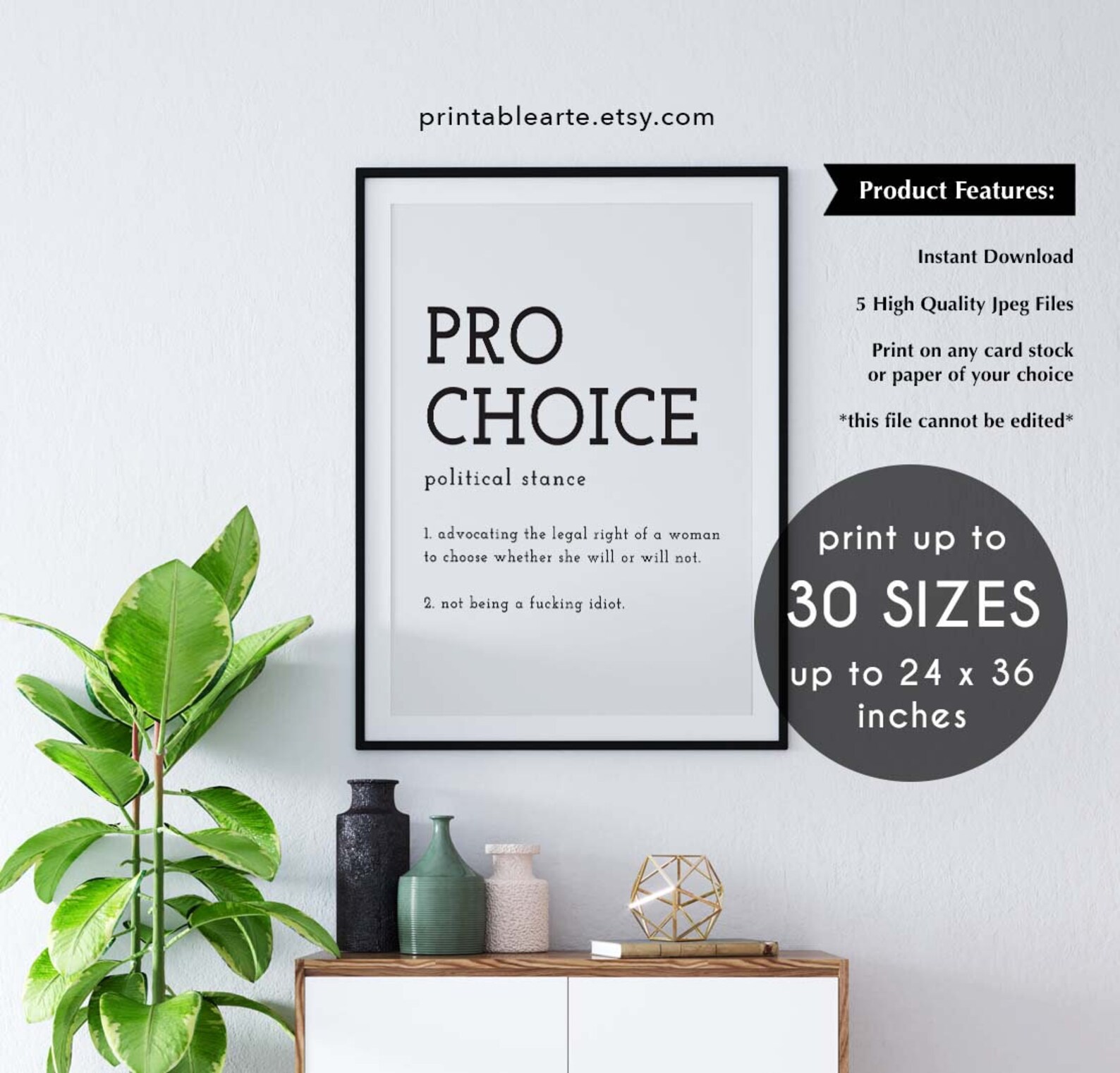 Pro Choice Definition Wall Art Definition Print Printable | Etsy