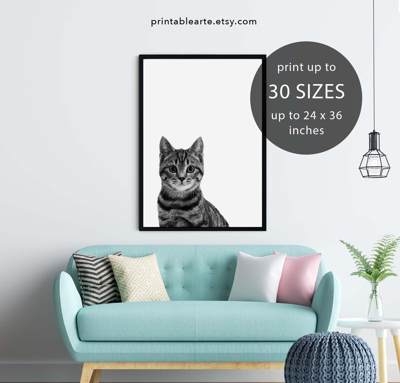 Cat print cat art black and white cat cat wall art cat | Etsy