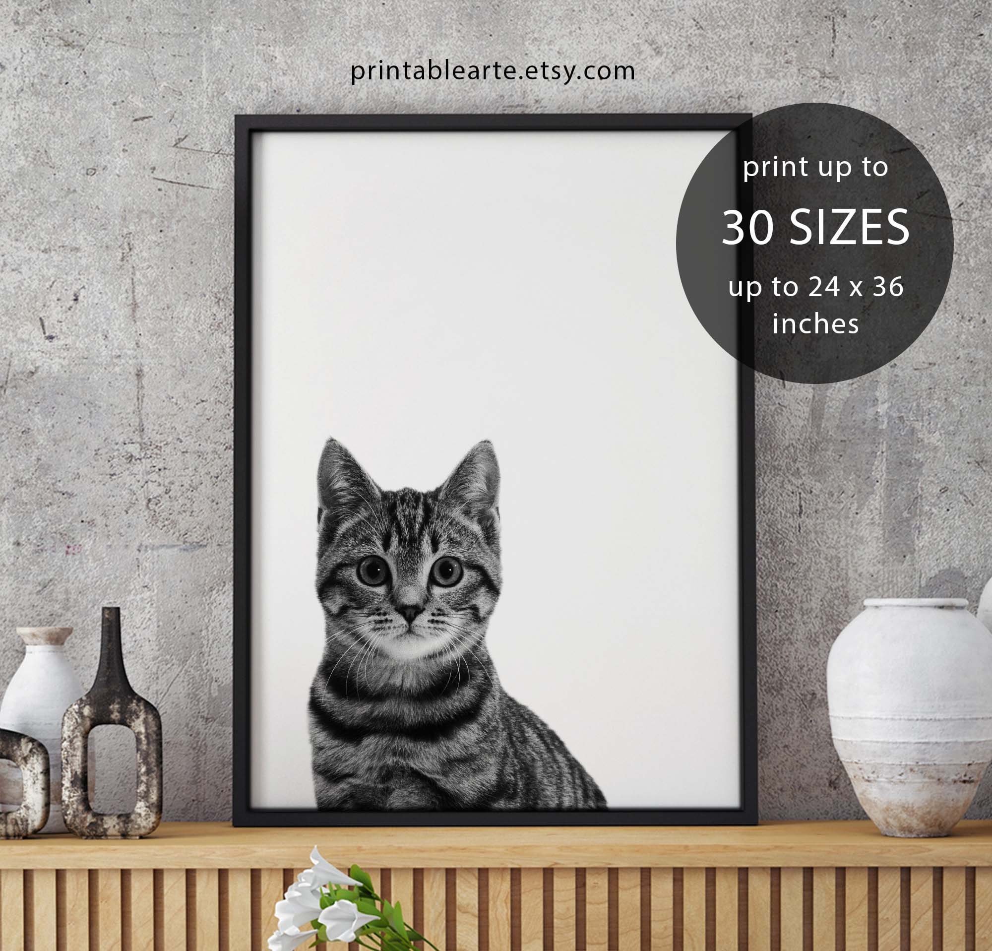 Cat print cat art black and white cat cat wall art cat | Etsy