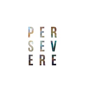 PERSEVERE Wall Poster Inspirational Quotes, Inspirational Decor ...