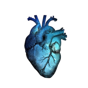 Space in the Heart Poster - Astronomy Decor, Galaxy Decor, Space Wall ...