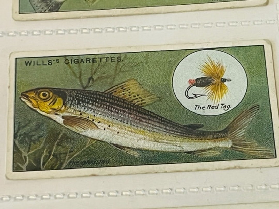 WD HO Wills Cigarettes Tobacco Trading Card 1910 Fish Bait Grayling #14 ...