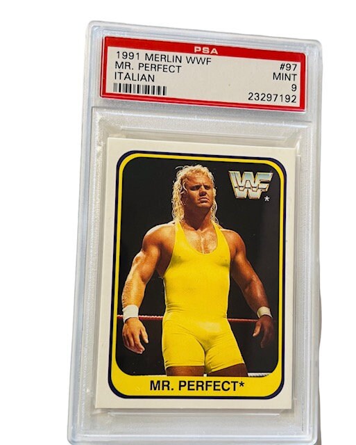 Wrestler Mister Perfect