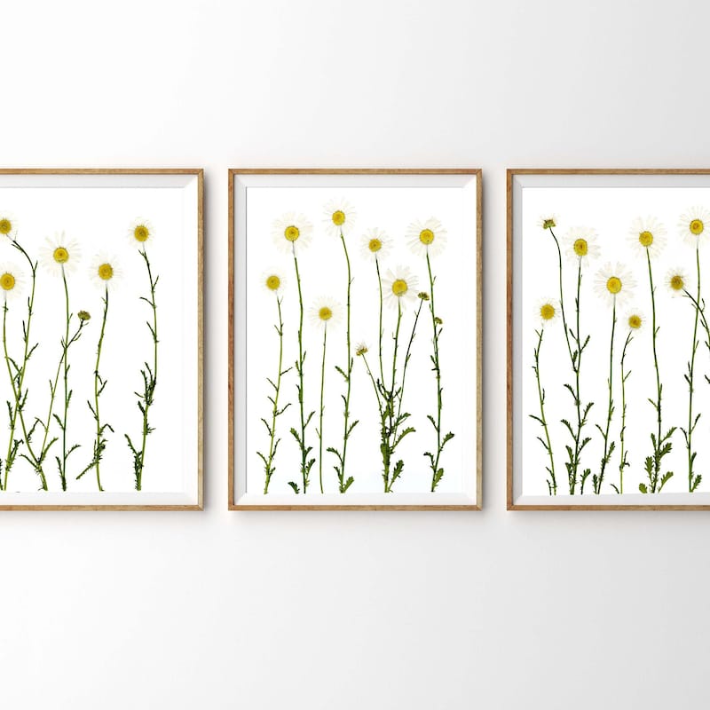 Daisy Print - Etsy