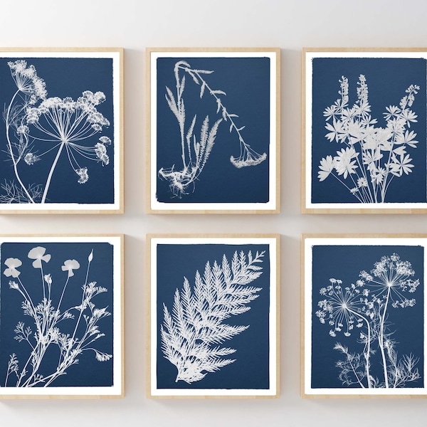 Cyanotype Print - Etsy