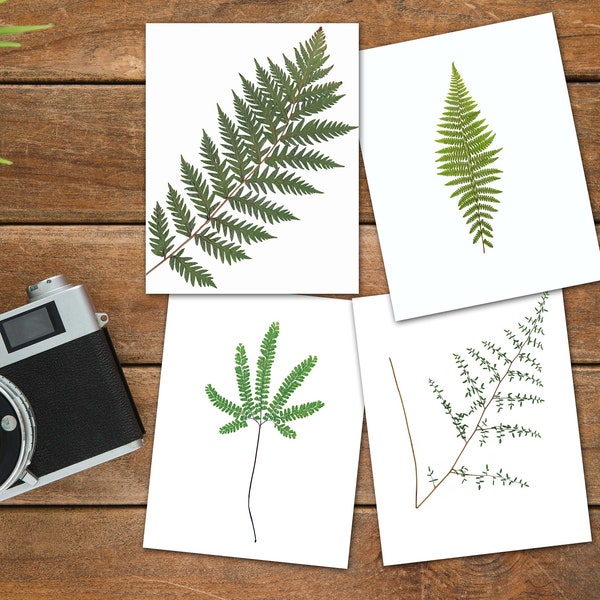 Fern Card - Etsy