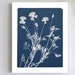 Cyanotype Botanical Print - Bamboo Leaves on Blue Background - Nature ...
