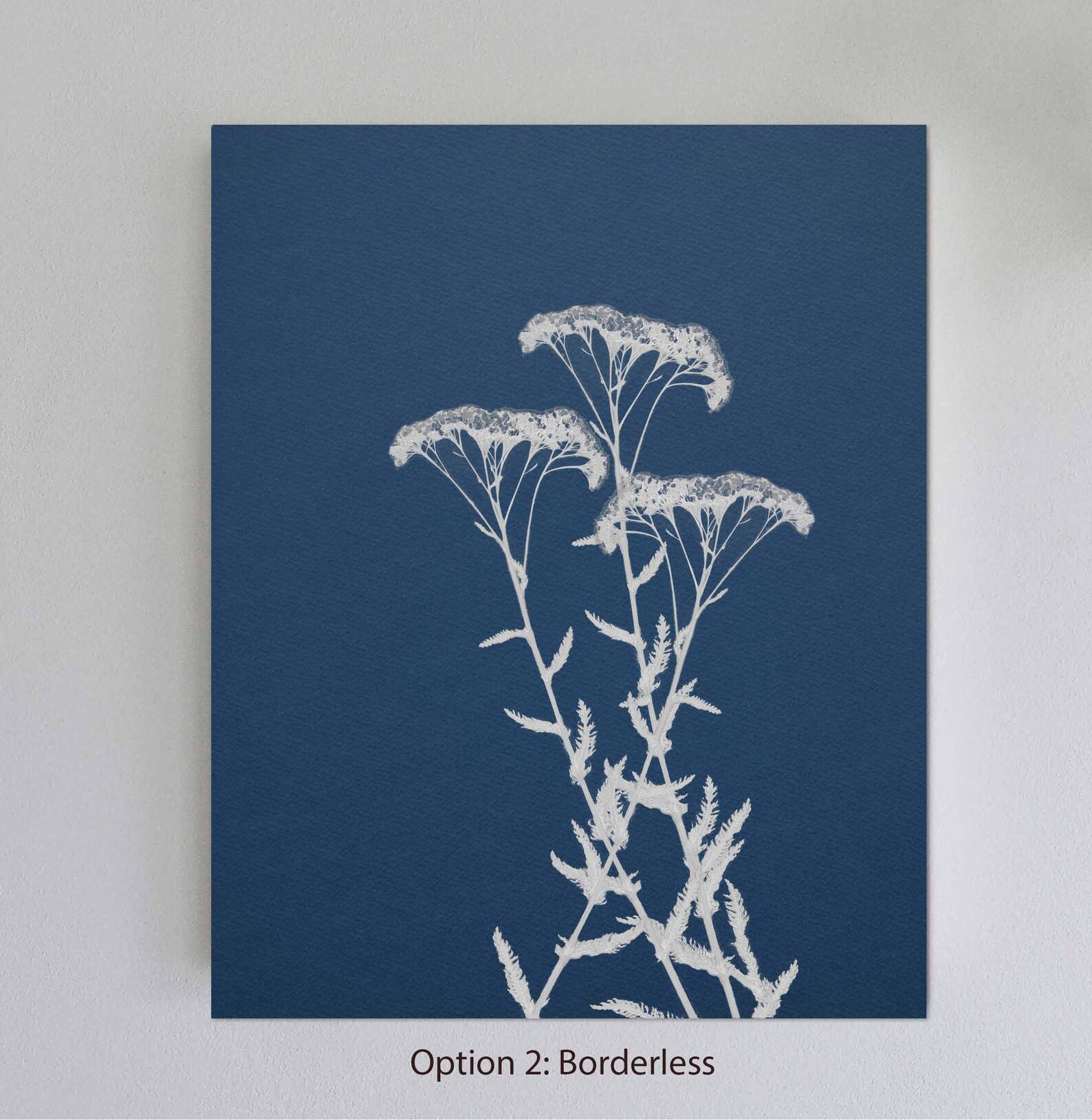 Cyanotype Botanical Print Pressed Flower on Blue Background - Etsy