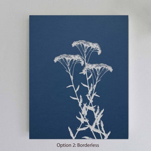 Cyanotype Botanical Print - Pressed Flower on Blue Background - Blue ...