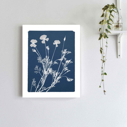Cyanotype Print Botanical Wall Art Blue Queen Anne Flower - Etsy