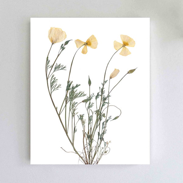 Yellow Poppy Art - Etsy