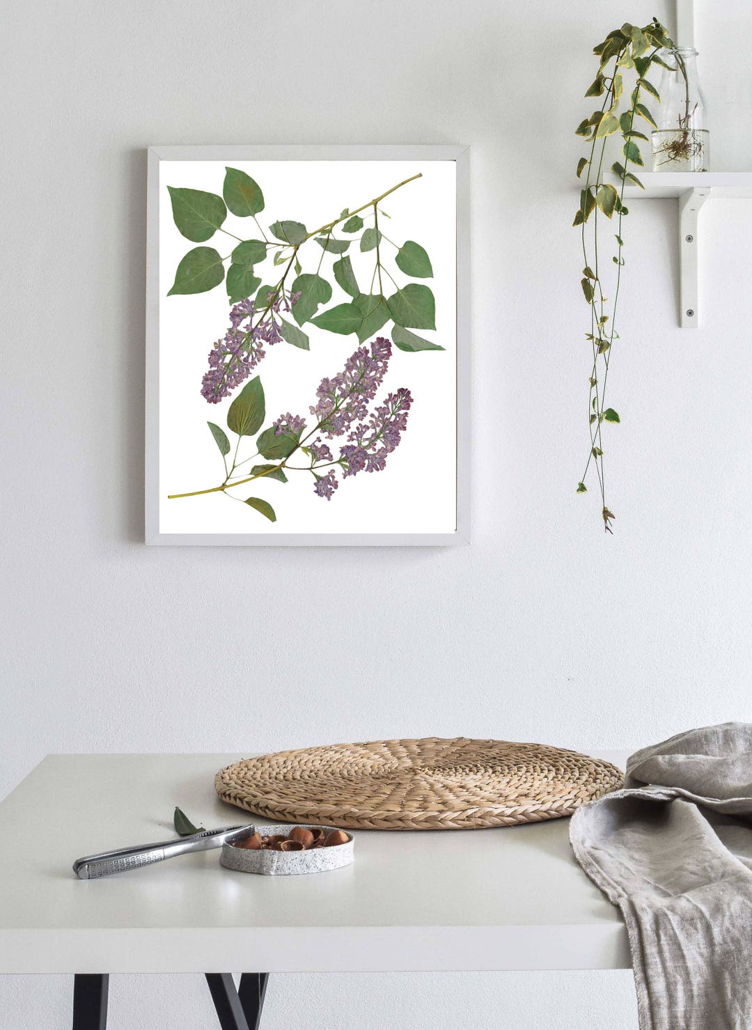 Lilac Botanical Print: Pressed Flower Herbarium Art - Etsy