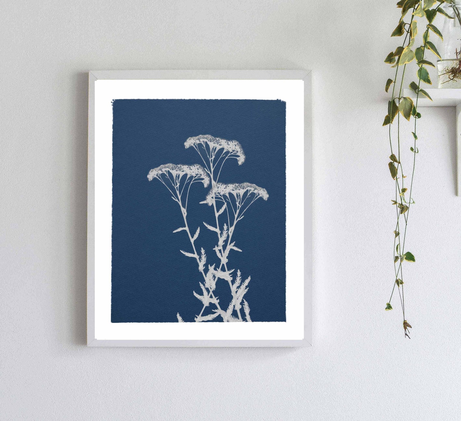 Cyanotype Botanical Print Pressed Flower on Blue Background - Etsy