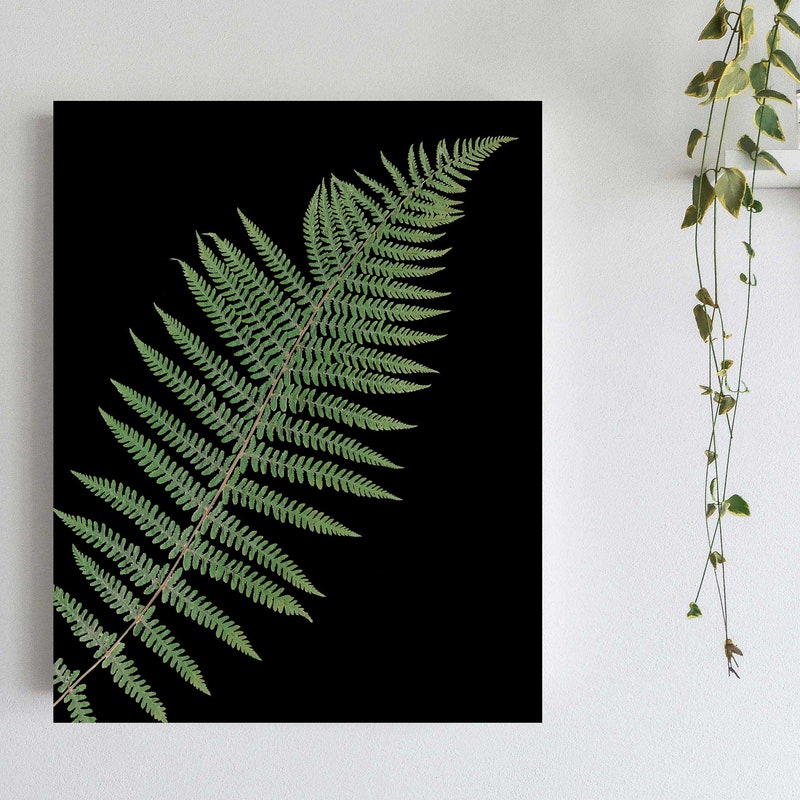 Fern Frond - Etsy