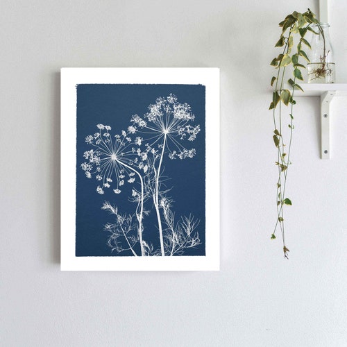 Cyanotype Print Flowers on Navy Blue Background Pressed - Etsy