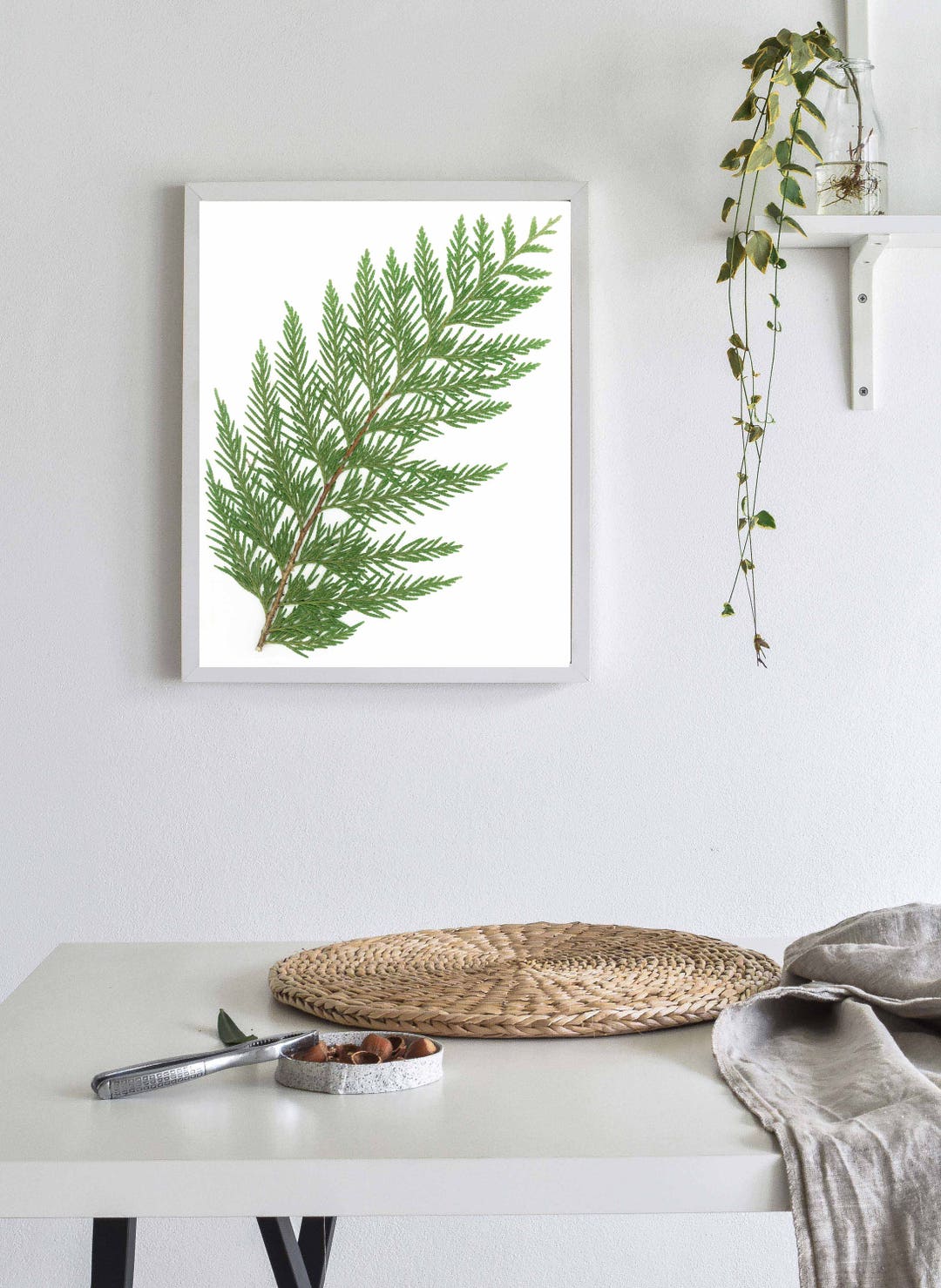 Western Red Cedar Print: Pacific Northwest Forest Art - Etsy
