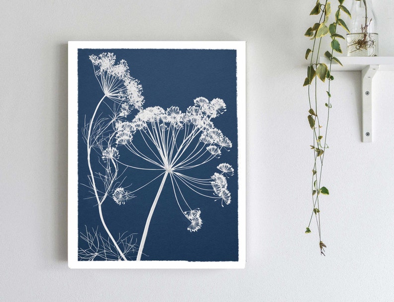 Cyanotype Print Flowers on Navy Blue Background Pressed - Etsy