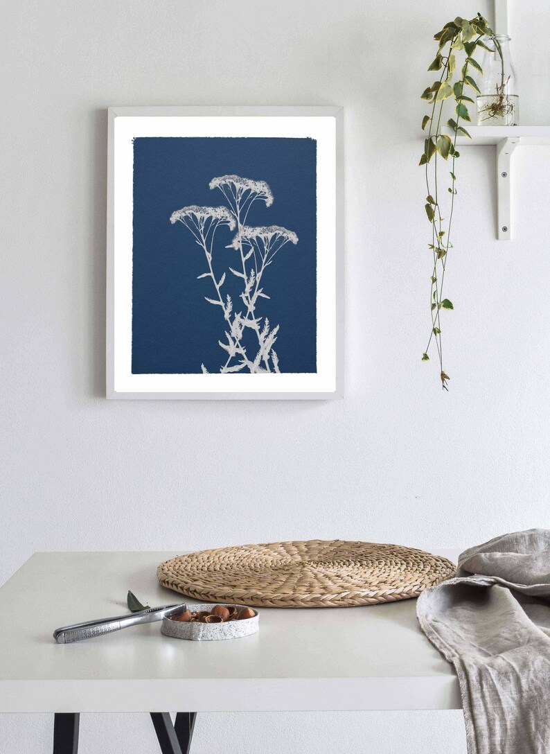 Cyanotype Botanical Print Pressed Flower on Blue Background - Etsy