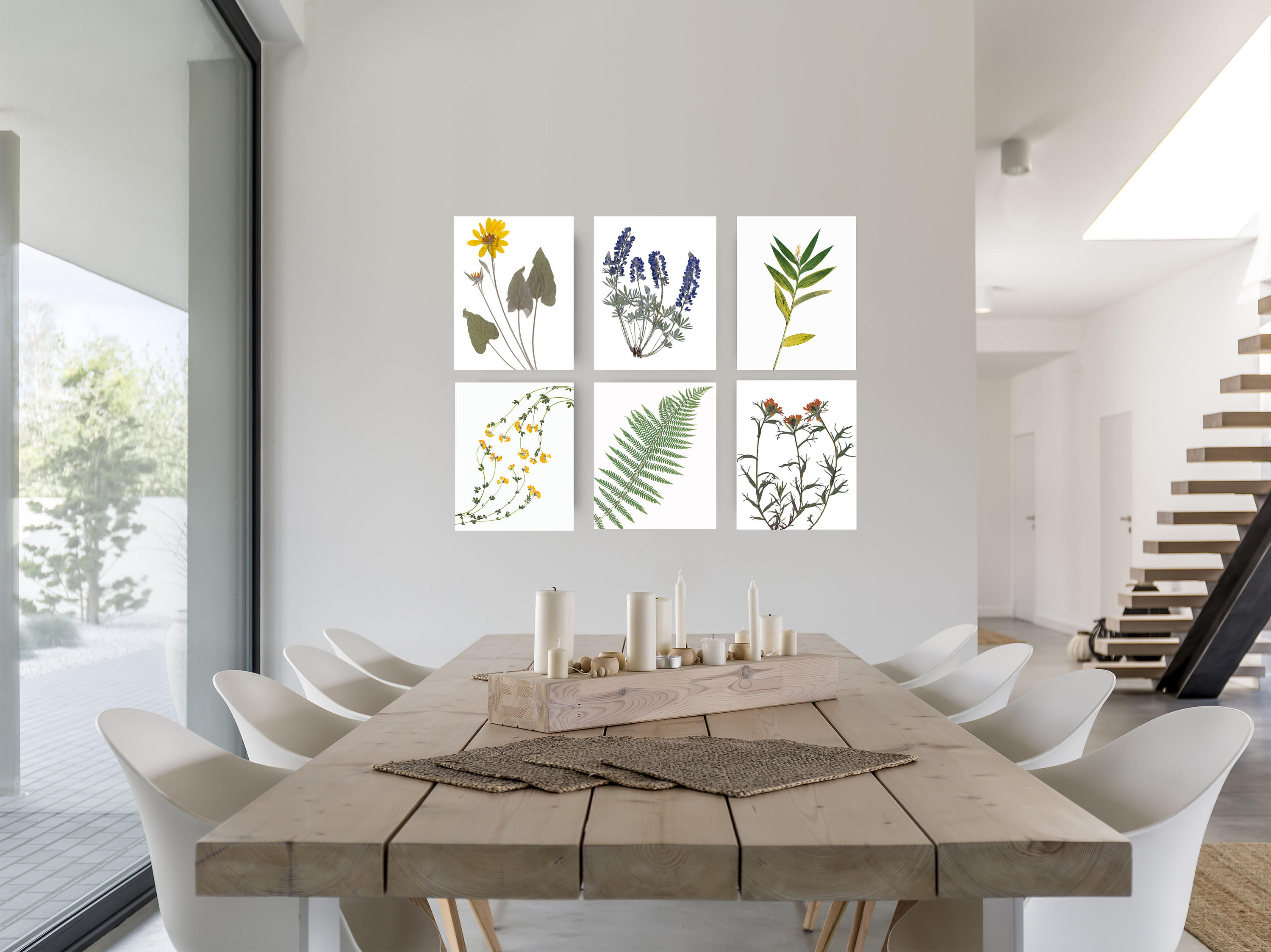 Lady Fern Print Pressed Fern Botanical Artwork Herbarium - Etsy