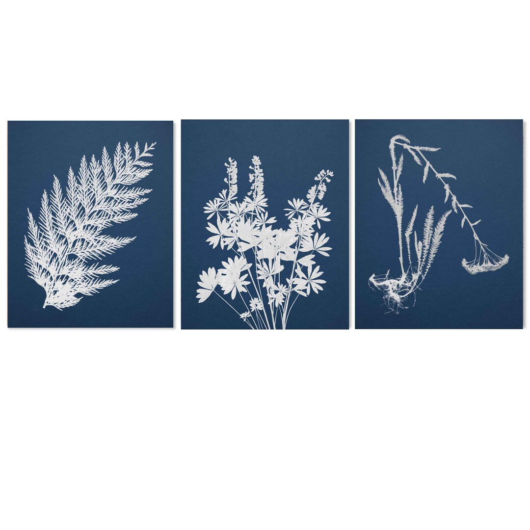 Botanical Print Set: Cyanotype Cedar, Lupine, Yarrow Wall Art - Etsy