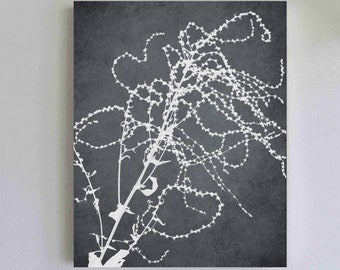 Cyanotype Print Flowers on Navy Blue Background Pressed - Etsy