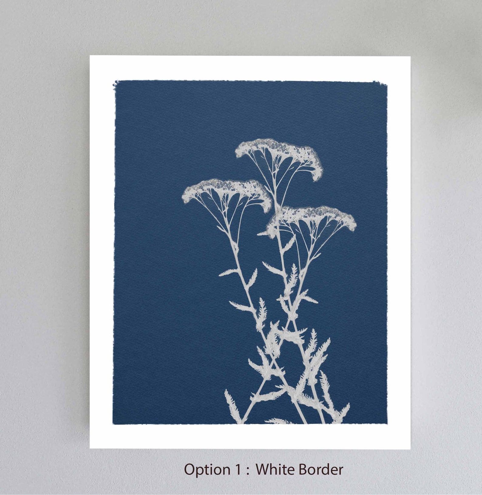Cyanotype Botanical Print Pressed Flower on Blue Background | Etsy