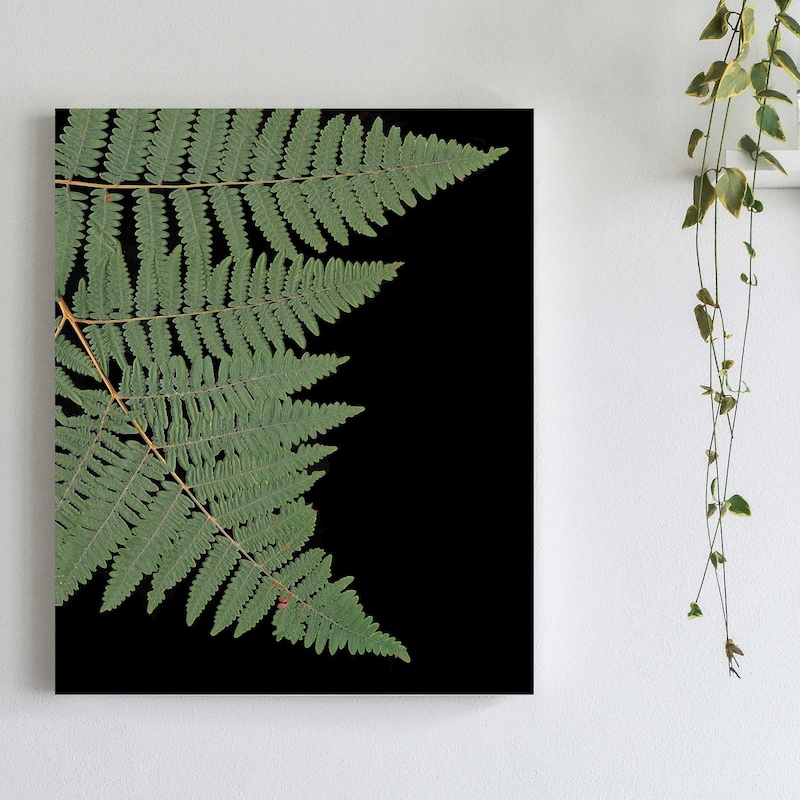 11x14 Art Prints - Etsy