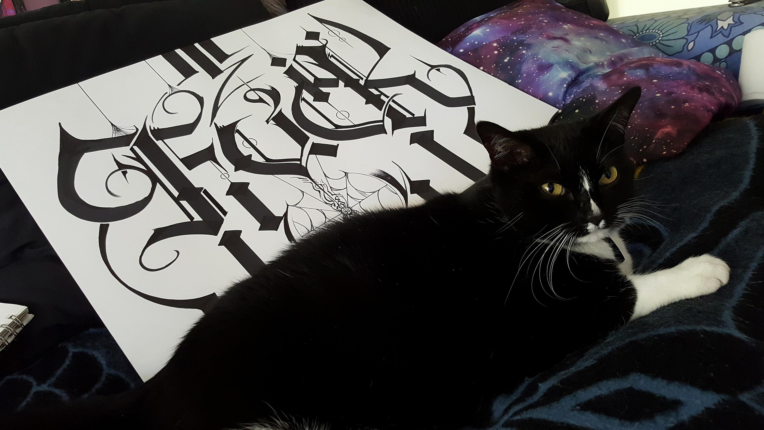 Calligraphy Print Fine Art Calligraphy Art Print Hand Drawn Calligraphy ...