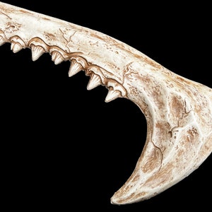 Caveman Club PU Movie Prop Dinosaur Jaw Bone Cudgel Bat - Etsy