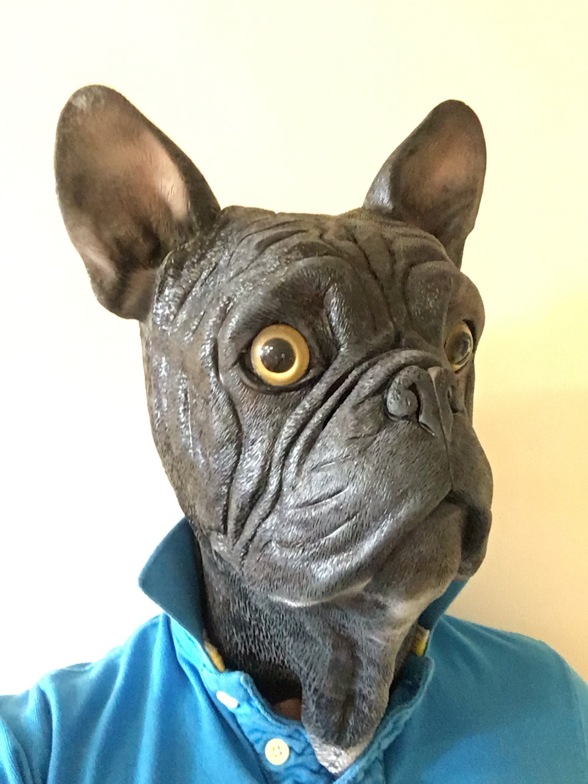 French Bulldog Dog Animal Latex Mask - Etsy UK