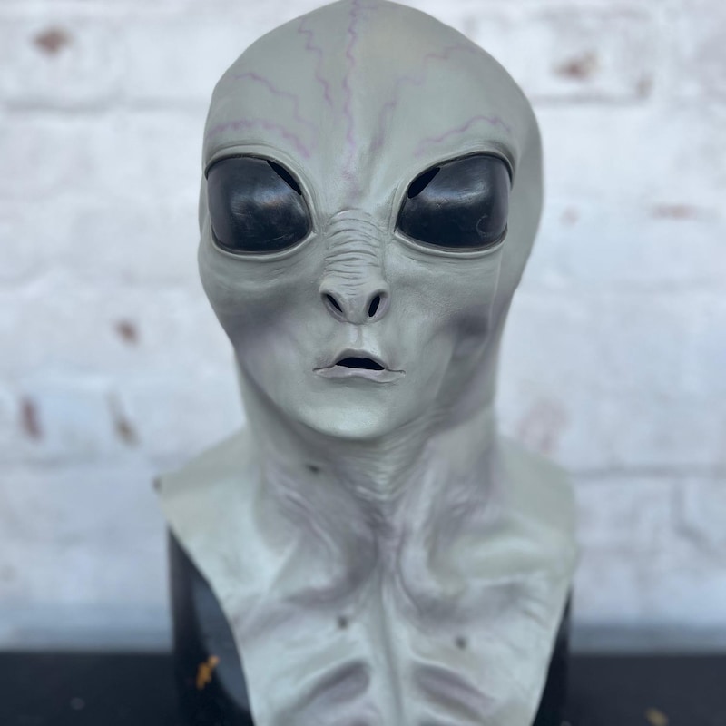 Alien Costume - Etsy UK
