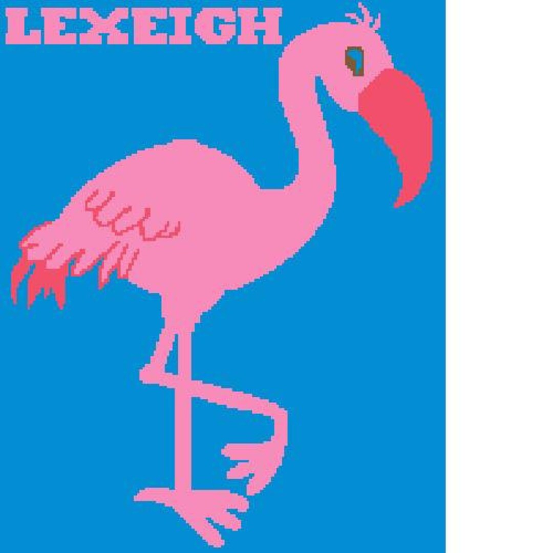 Personalized Flamingo Graph Afghan Crochet Pattern Pink Flamingo Bird ...