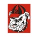 G Dog Bulldog Graph Afghan Crochet Pattern Text Instructions and Graphs ...