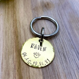 Custom Brass Dog Identity Disc - Brass ID Pet Tag - Etsy