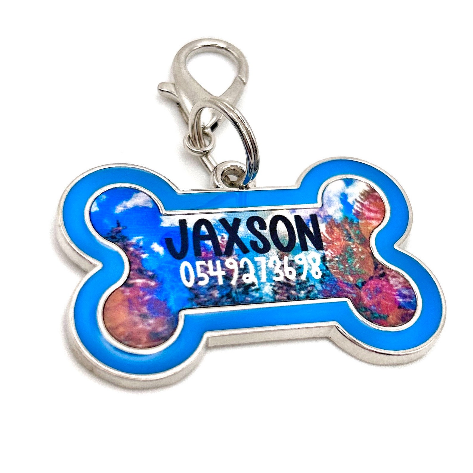 Dog Name Tag, Blue Dog Identity - Etsy