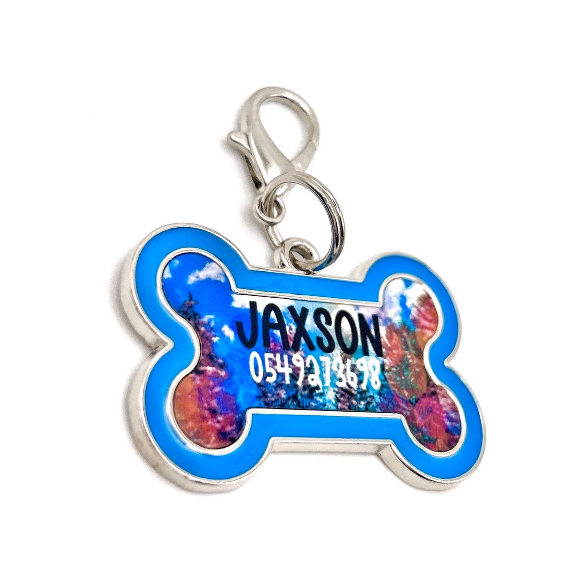 Dog Name Tag, Blue Dog Identity - Etsy