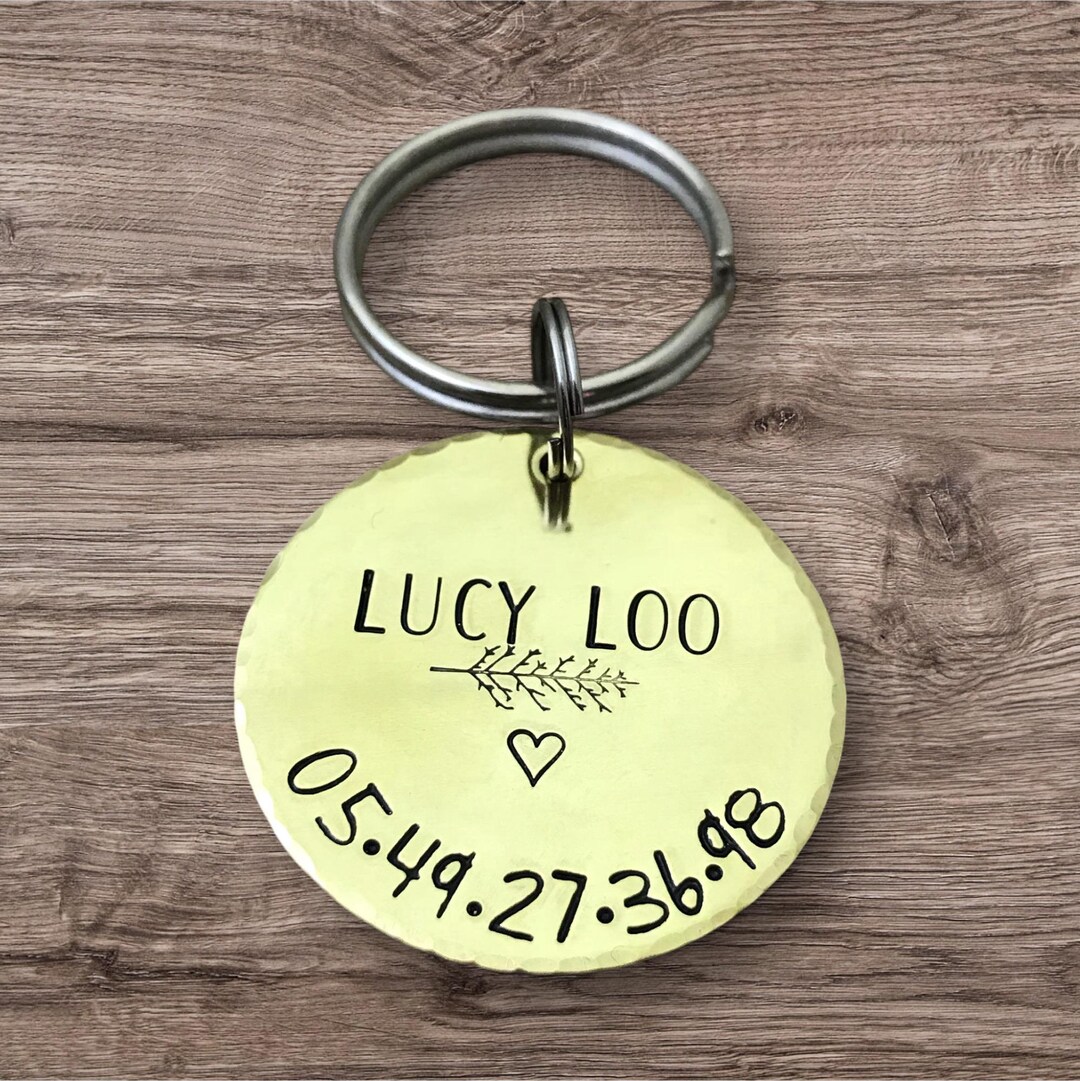 Médaillon d'identité Chien, Médaillon Personnalisé, Laiton, Médaille ...
