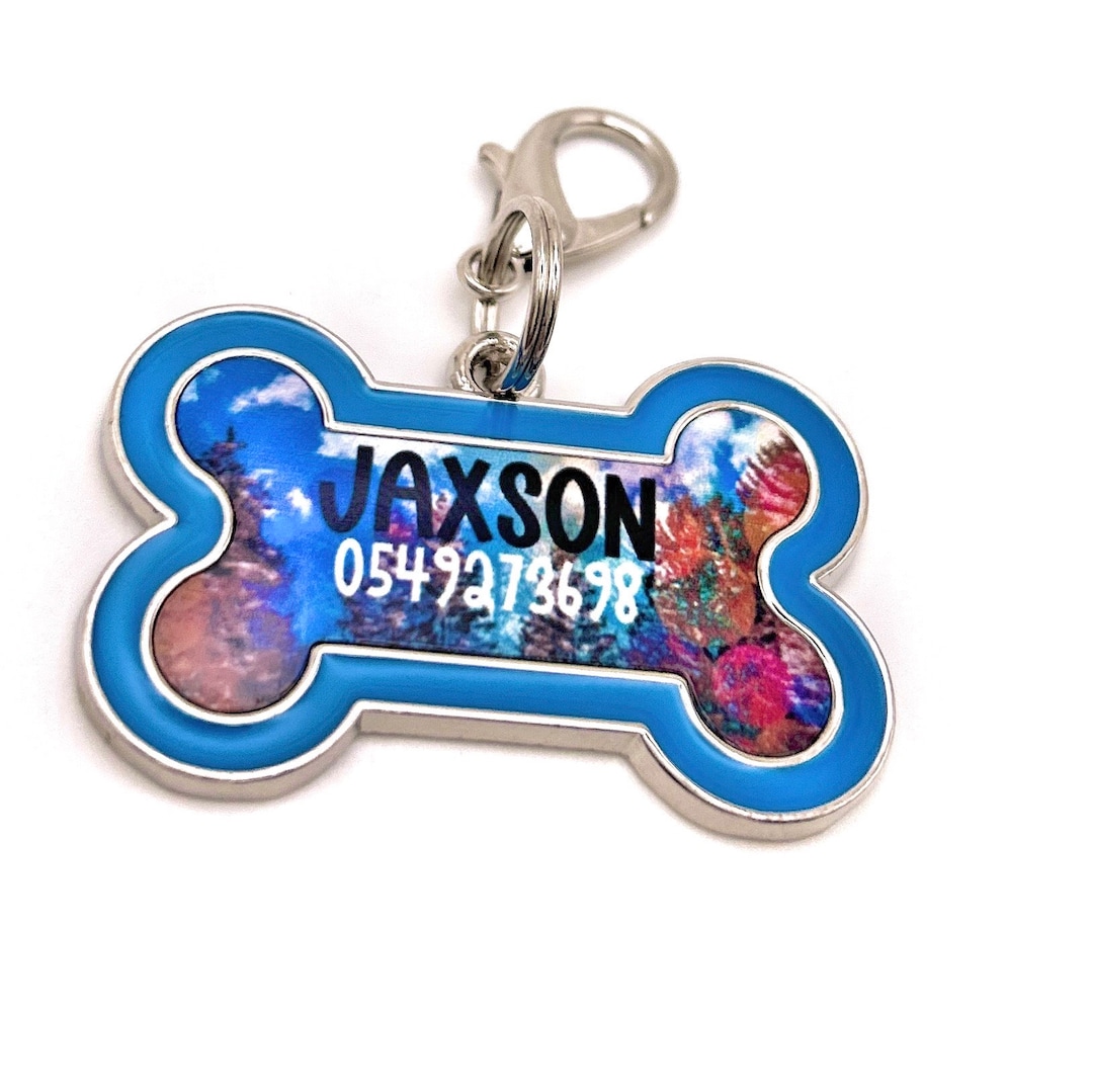 Dog Name Tag, Blue Dog Identity - Etsy