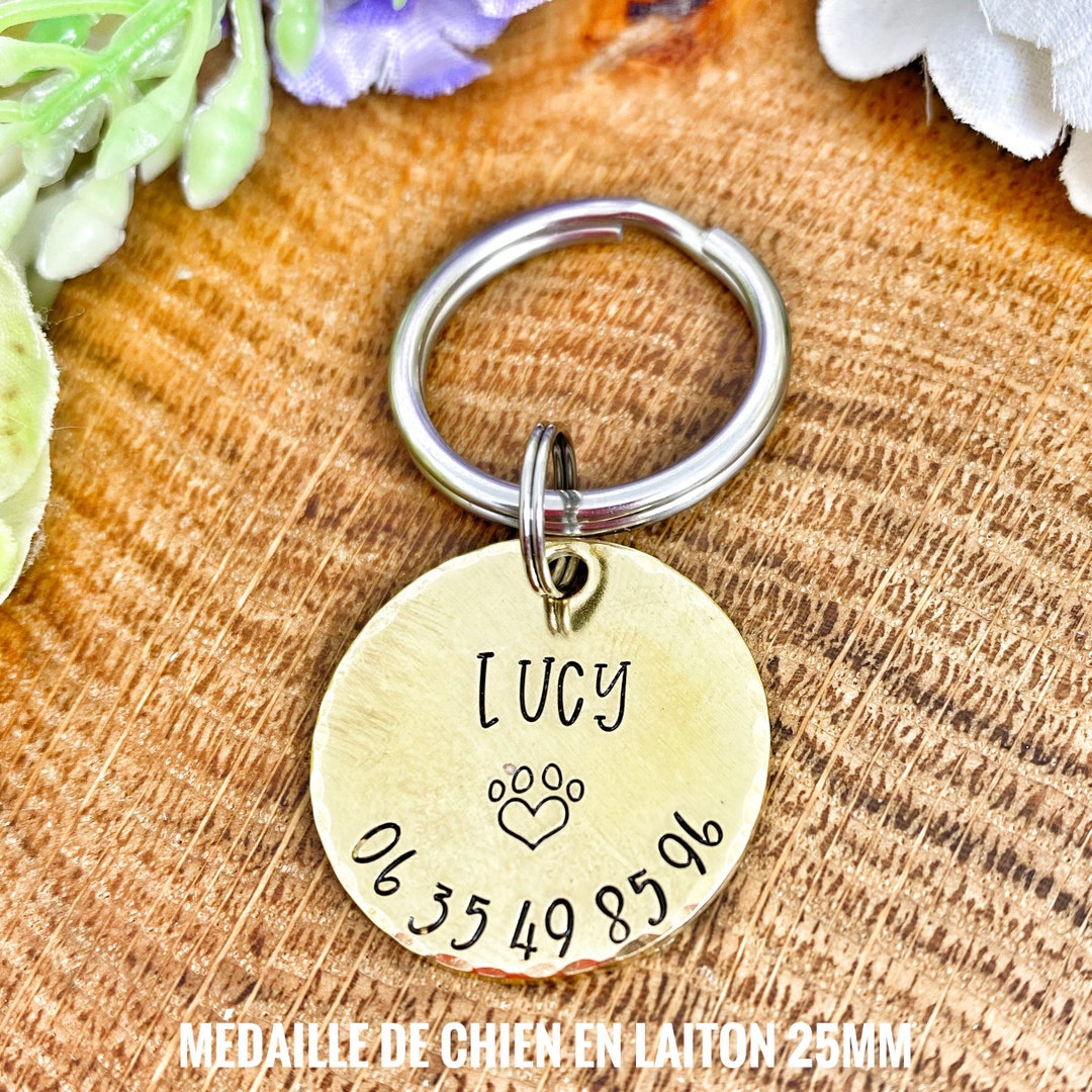 Custom Brass Dog Identity Disc - Brass ID Pet Tag - Etsy