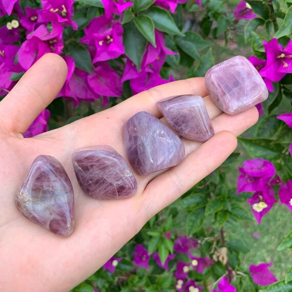 filoapartment - Blog