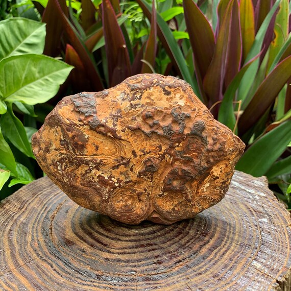 Carnelian — Store — Beyond Bohemian