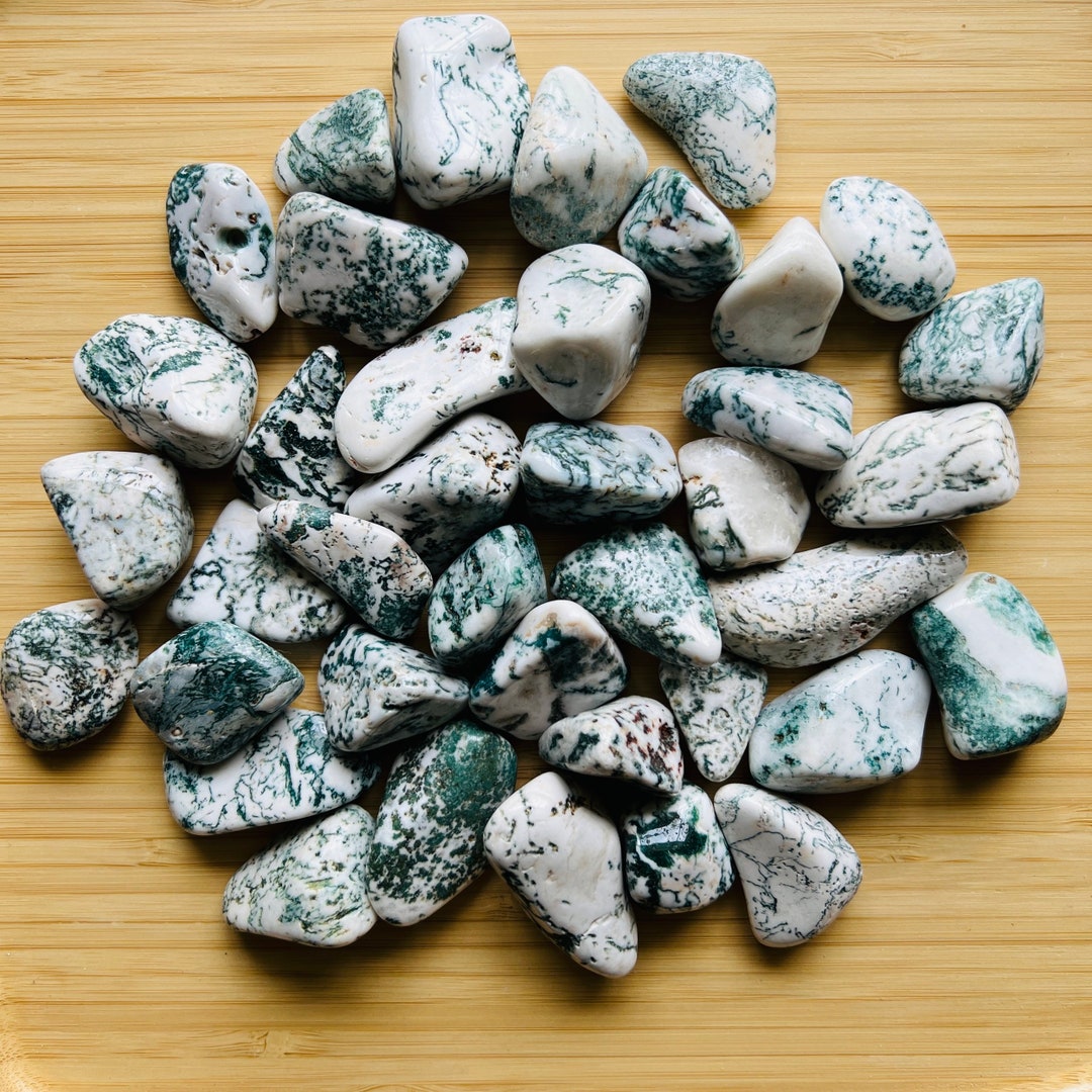 Tree Agate Tumbled Stones 1-1.50 Inch A Grade 24-40 Pieces per Pound ...