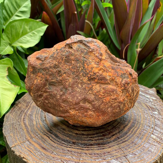 Carnelian — Store — Beyond Bohemian